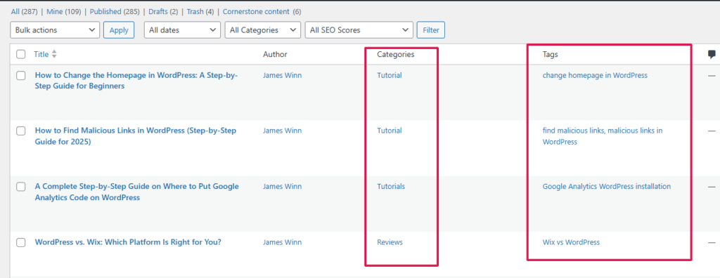 Using Tags in WordPress: A Complete Beginner's Guide